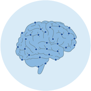Unit 1 | BrainWaves: An EEG-based Neuroscience Curriculum
